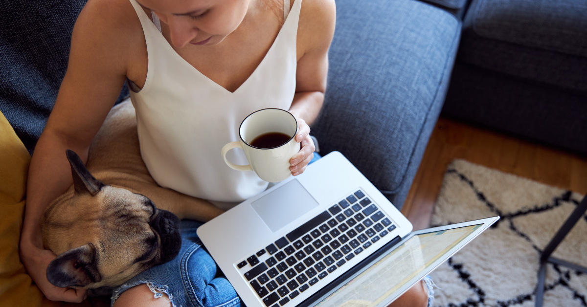 Free phishing test for new clients - Lupasafe